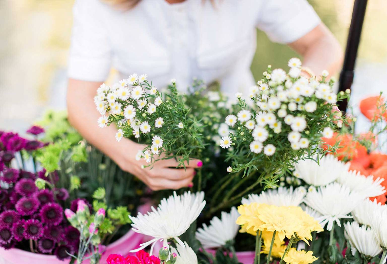 8 Ways to Repurpose a Photography Session - Digital Marketing ...